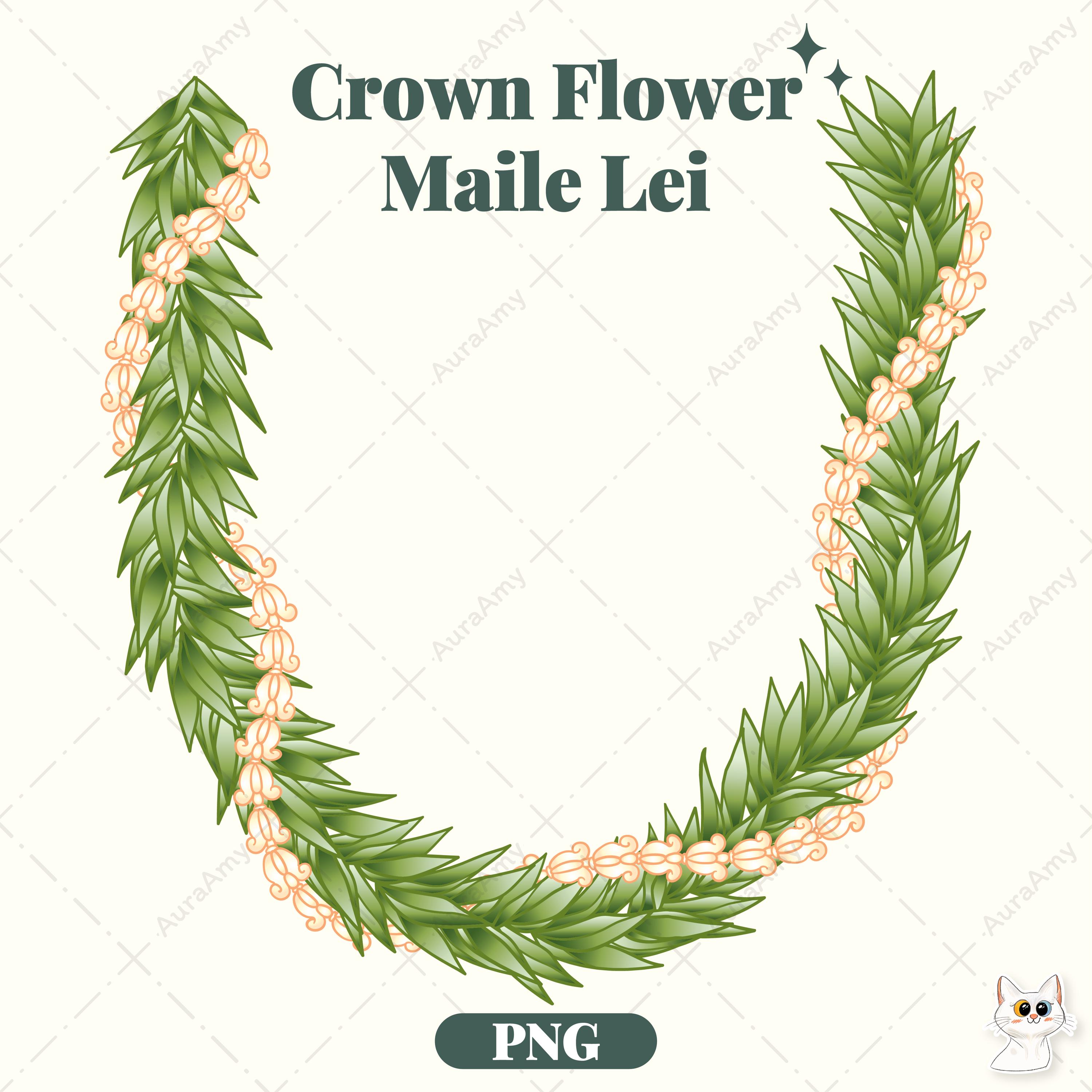 Crown Flower Maile Lei Png, Twist Flower Lei Png, Curve Pattern Digital ...