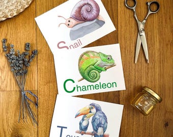 English ABC Animal Alphabet Cards - Printable | Flashcards for ...