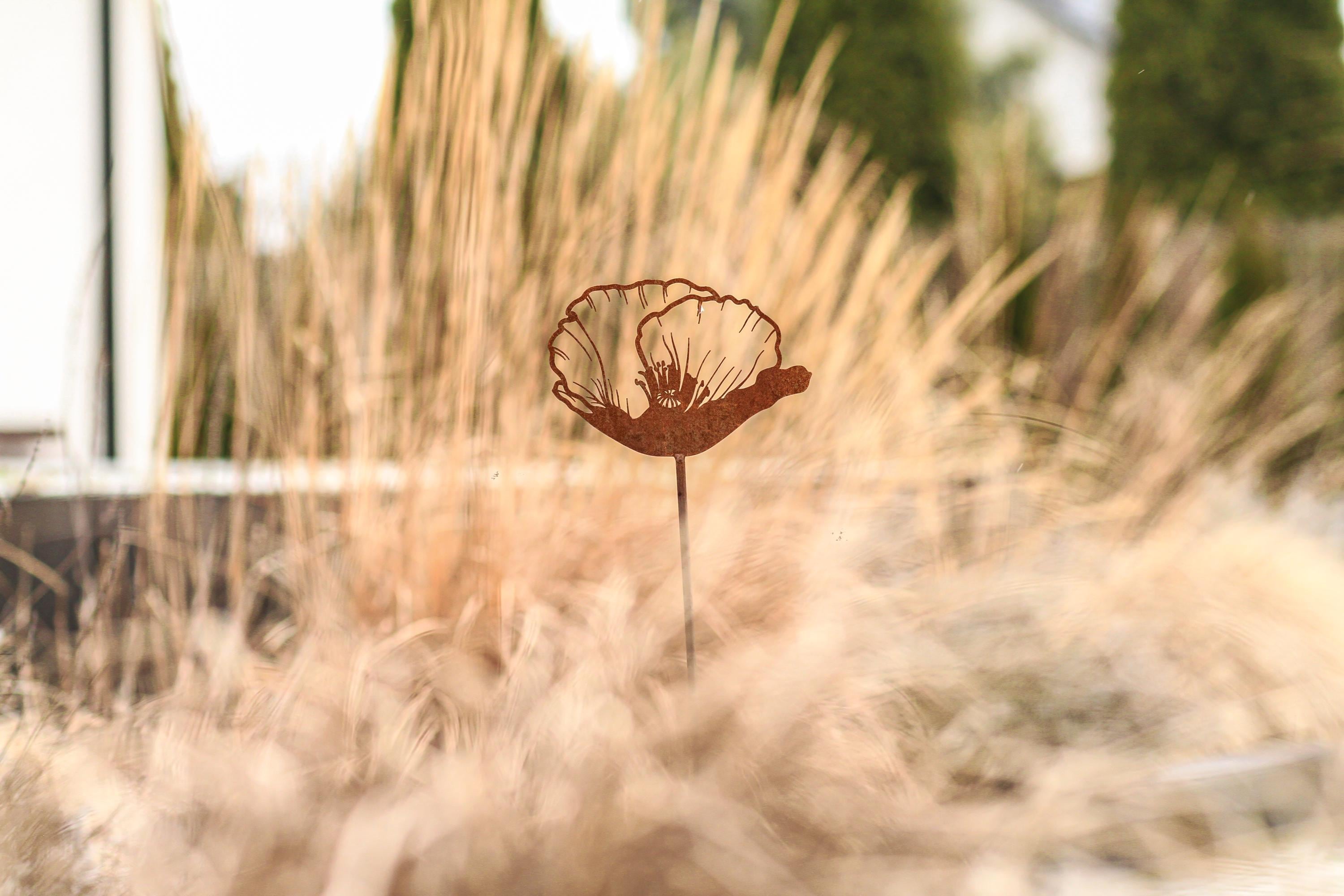 Rusty Metal Poppy. Garden Decor. Corten Outdoor Decoration. Made of ...