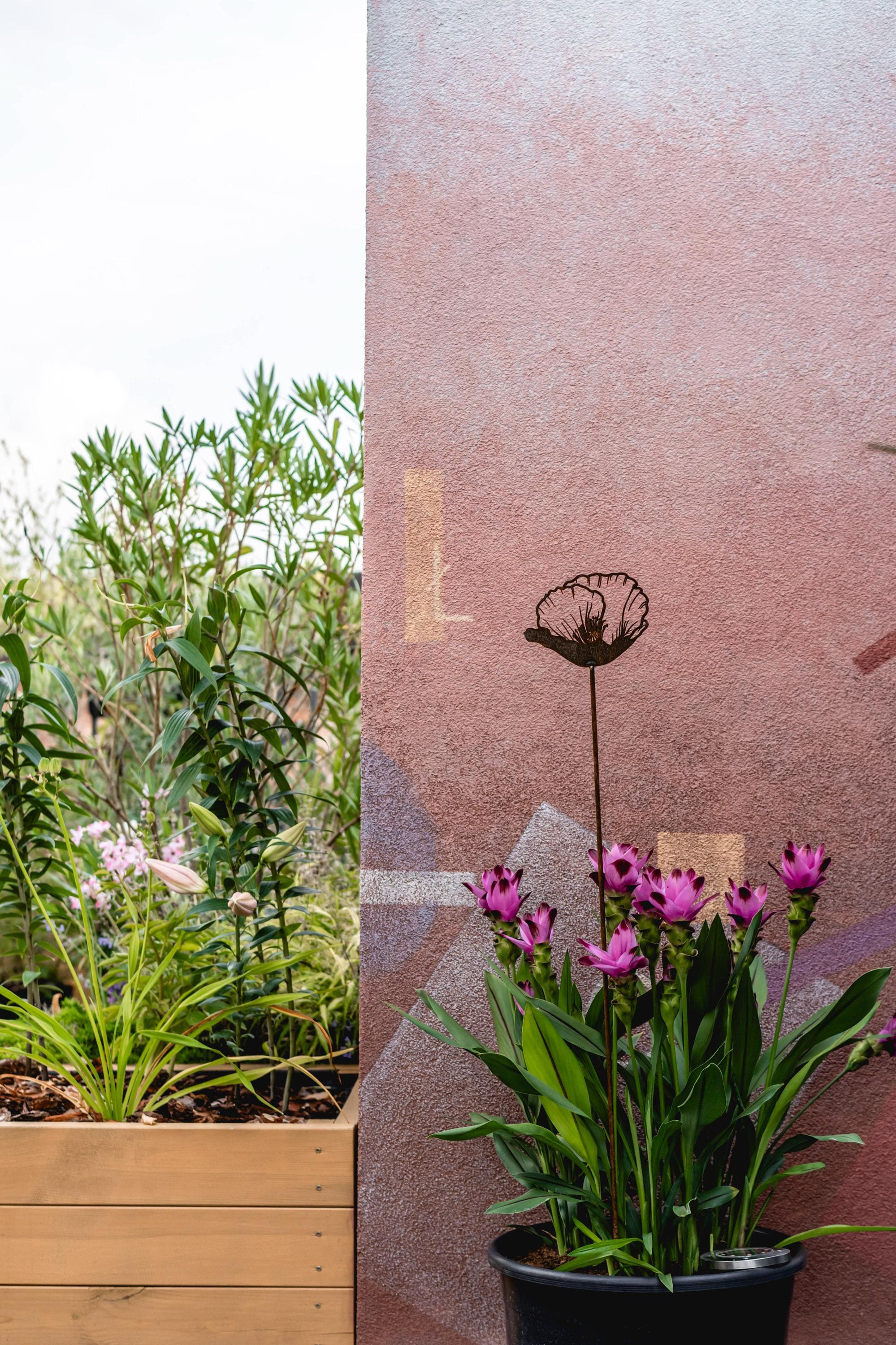 Rusty Metal Poppy. Garden Decor. Corten Outdoor Decoration. Made of ...