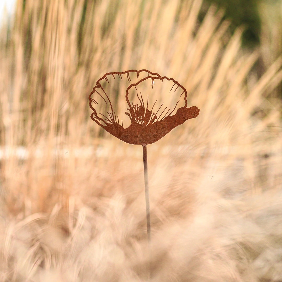 Rusty Metal Poppy. Garden Decor. Corten Outdoor Decoration. Made of ...