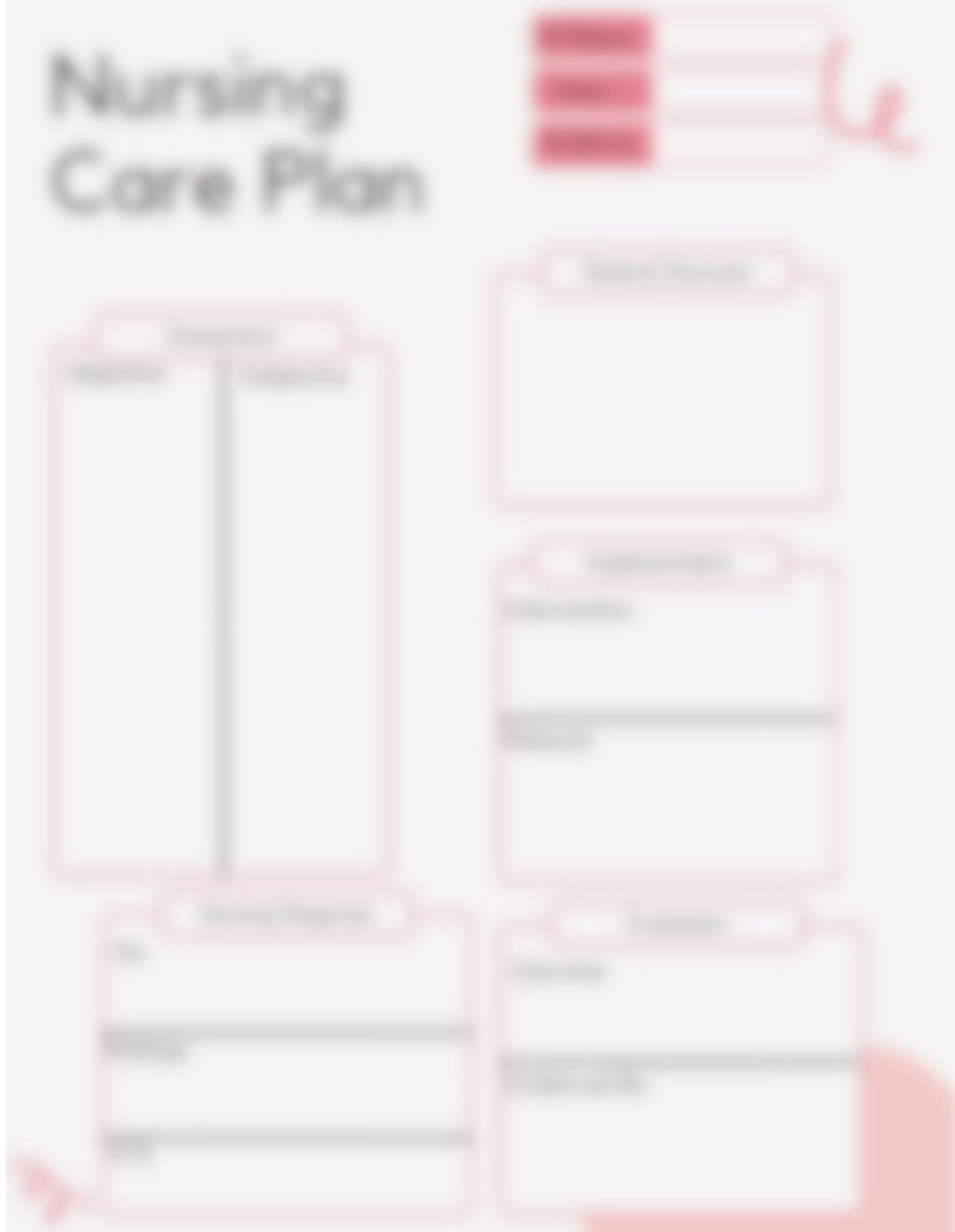 Nursing Care Plan in Pink, Nursing Care Plan, Care Plans, Care Plan ...