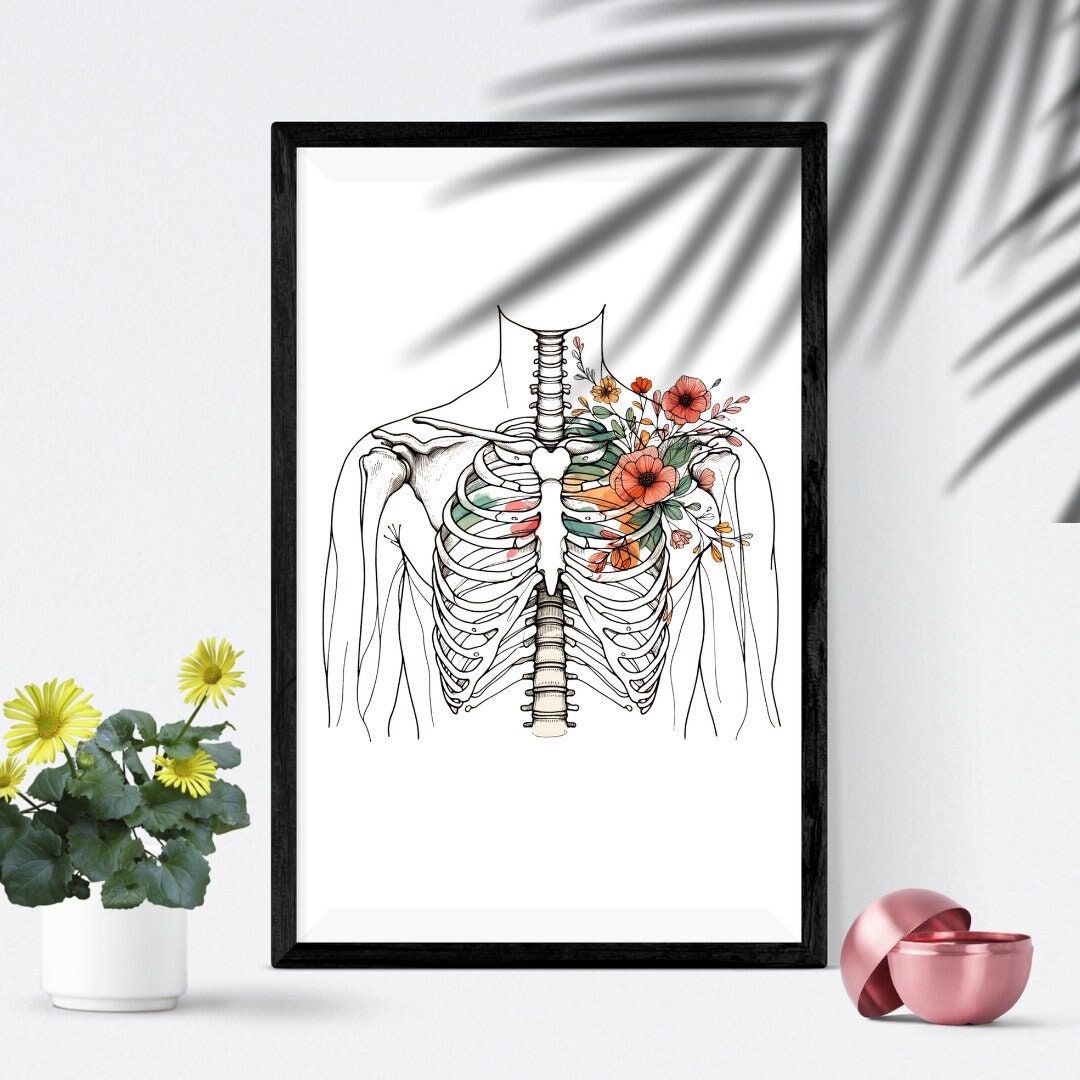 Rib Cage Anatomy Art, Skeleton Rib Cage, Chest Skeleton Art, Skeleton ...