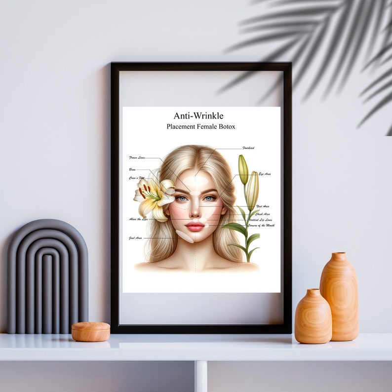 Facial Anatomy Art, Face Anatomy Poster, Facial Filler, Facial Muscles ...