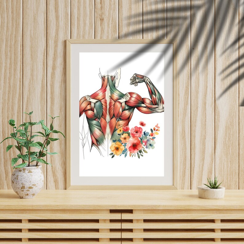 Muscle Anatomy Wall Art, Muscle Anatomy Print, Muscle Anatomical Poster ...
