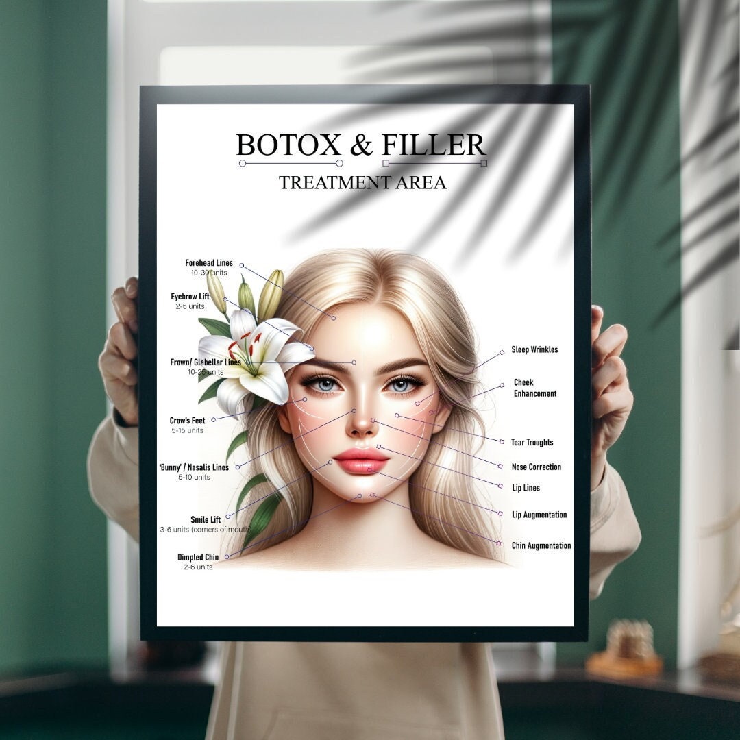 Facial Anatomy Art, Face Anatomy Poster, Facial Filler, Facial Muscles ...