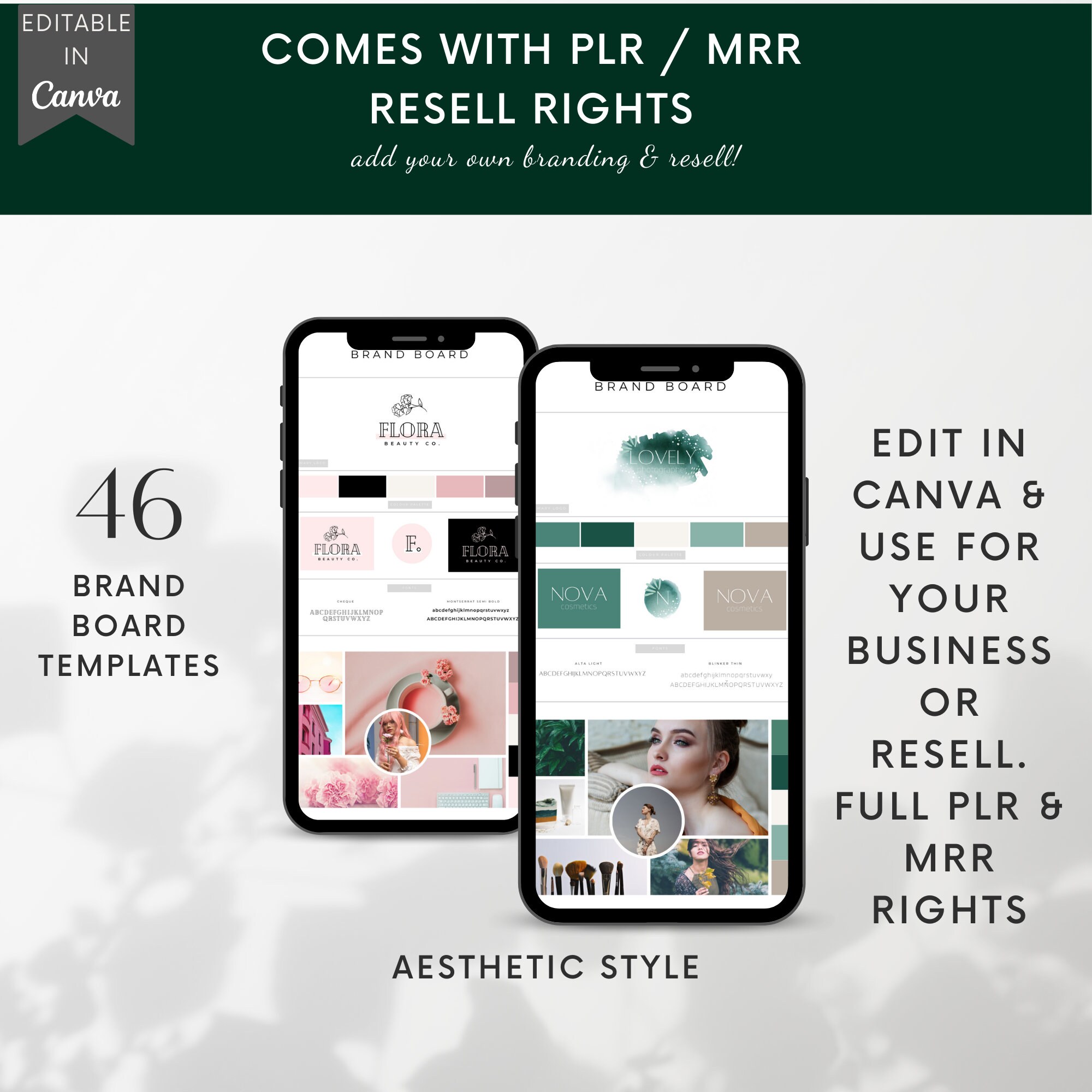 Brand Board Template PLR MRR, Small Business Branding Kit, Logo, DIY ...