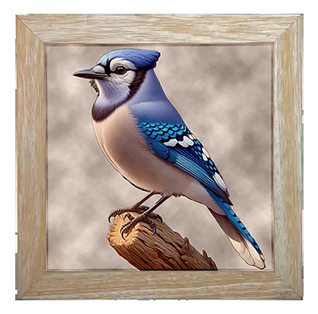 Blue Jay Sitting on Branch Oil Painting, Blue Jay Art, Country Blue Jay ...