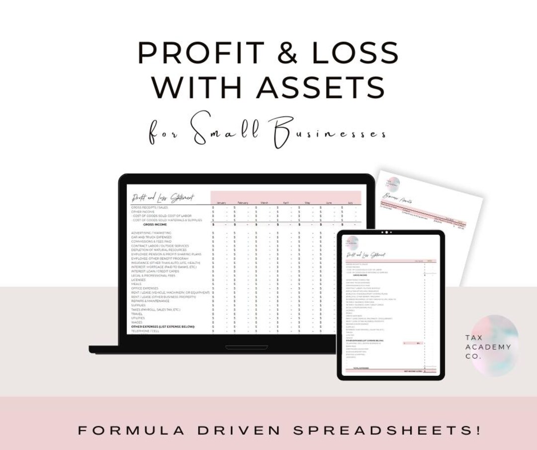 Profit and Loss With Asset List Worksheet (2026 Version) - Etsy
