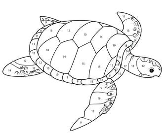 Coloring Pages | Turtle Printable Page | Index Numbers | Printable ...