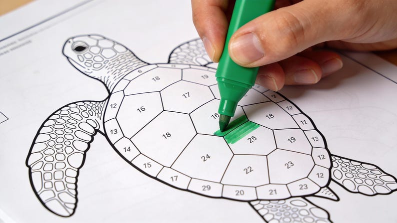 Coloring Pages | Turtle Printable Page | Index Numbers | Printable ...