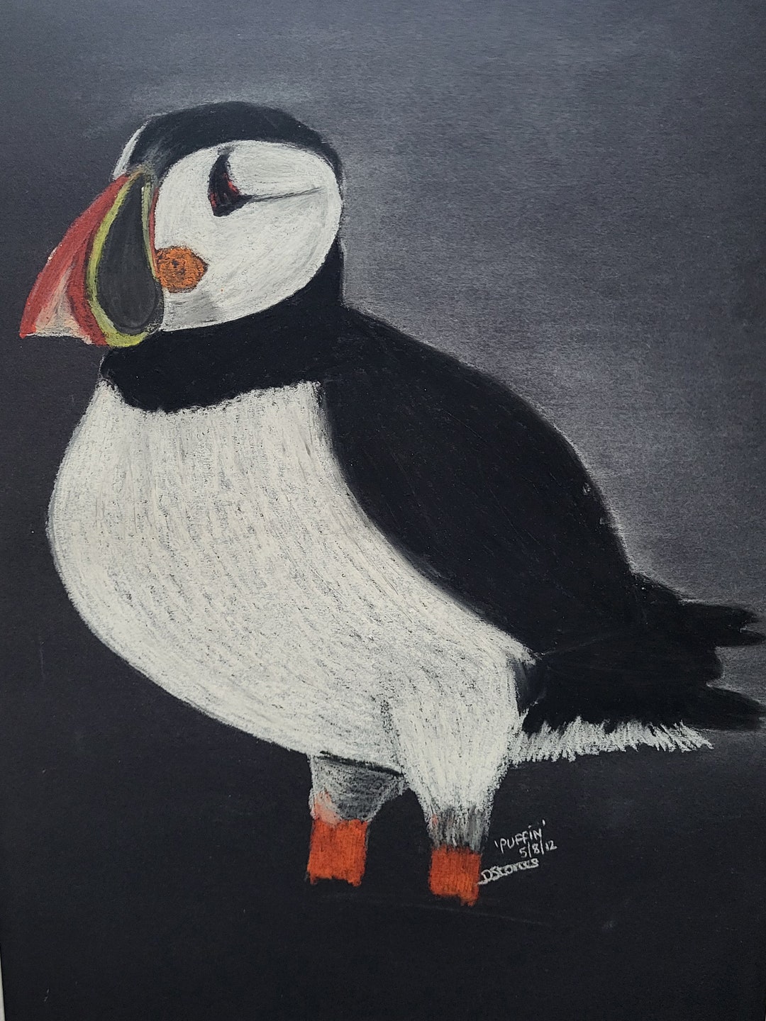 Puffin in Oil Pastel - Etsy