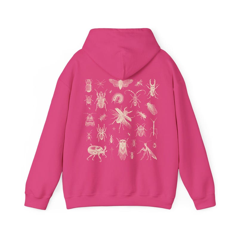Vintage Insects Hoodie Entomology Hooded Sweatshirt Beetles & Bugs Back ...