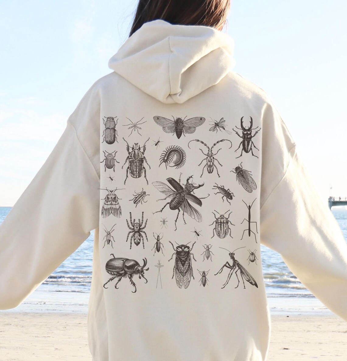 Vintage Insects Hoodie Entomology Hooded Sweatshirt Beetles & Bugs Back ...