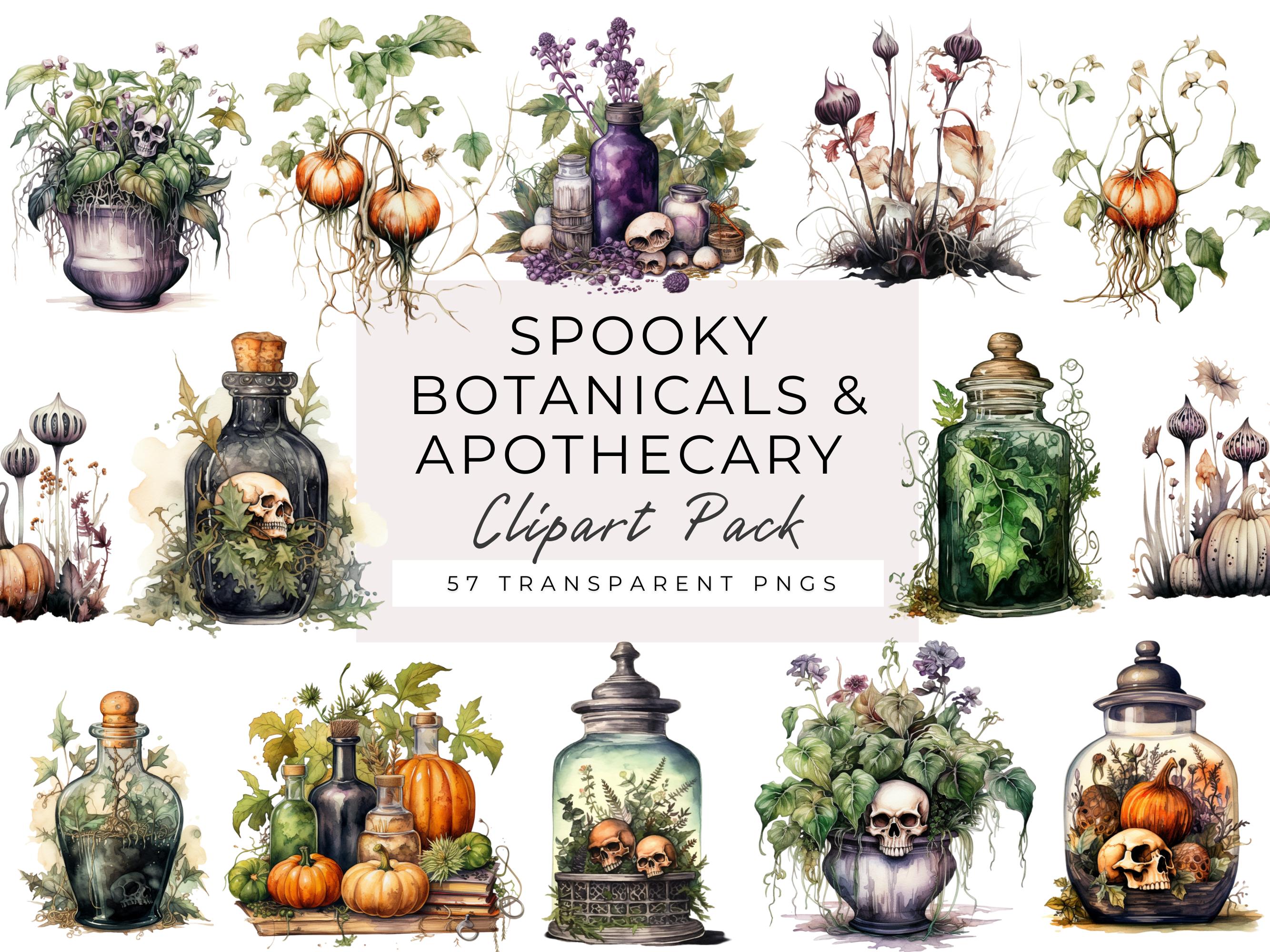 Apothecary Clipart,magical Potions Clipart,halloween Potions Clipart ...