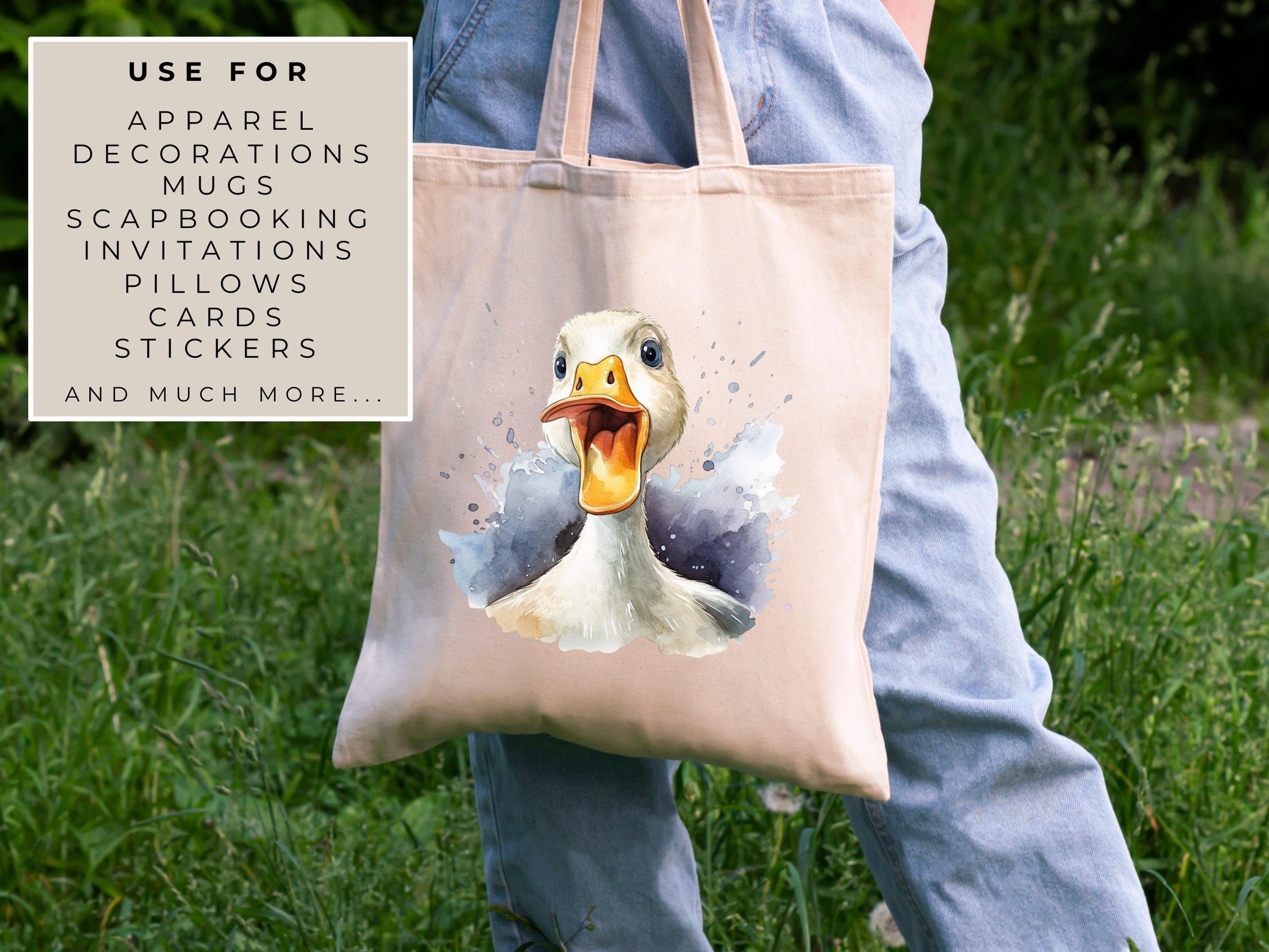 Funny Ducks Clipart, Duck Clipart PNG Graphics, Watercolor Ducks ...