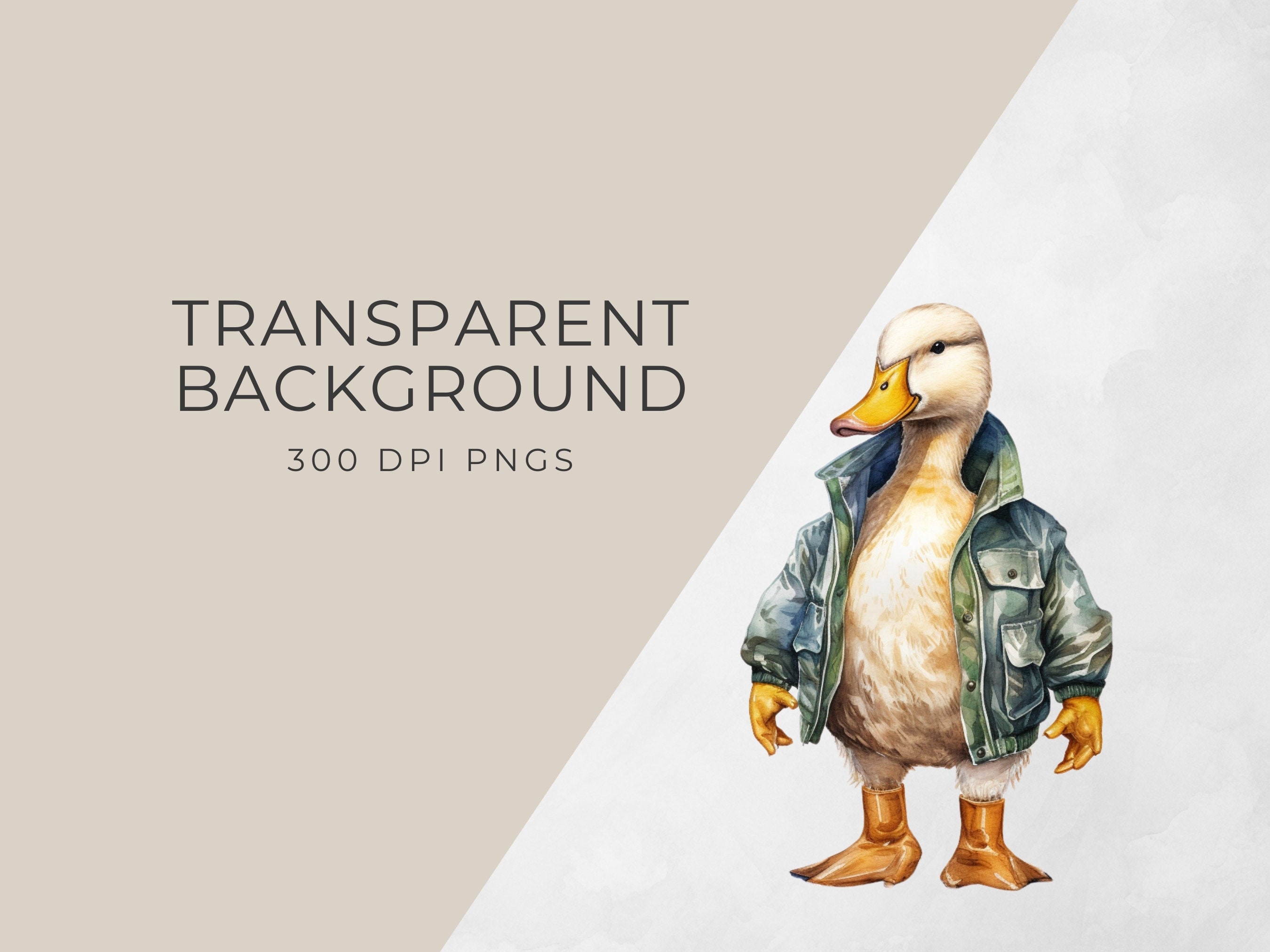 Funny Ducks Clipart, Duck Clipart PNG Graphics, Watercolor Ducks ...