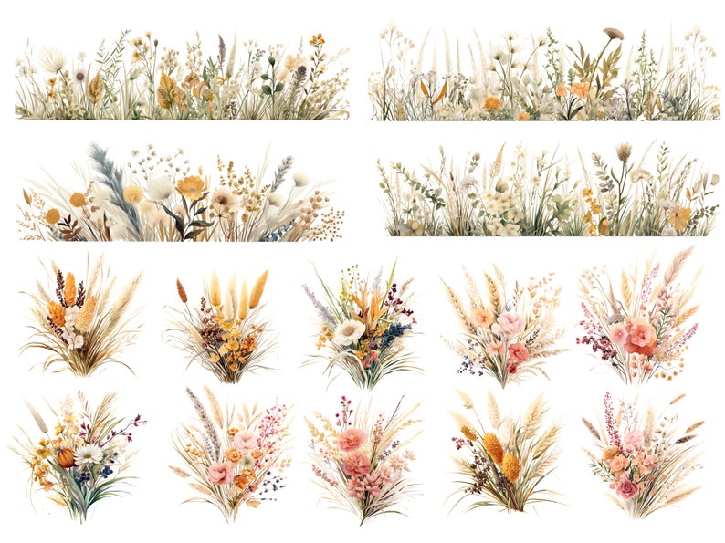 Pampas Grass Clipart, Wildflowers Clipart, Pampas Grass Border ...