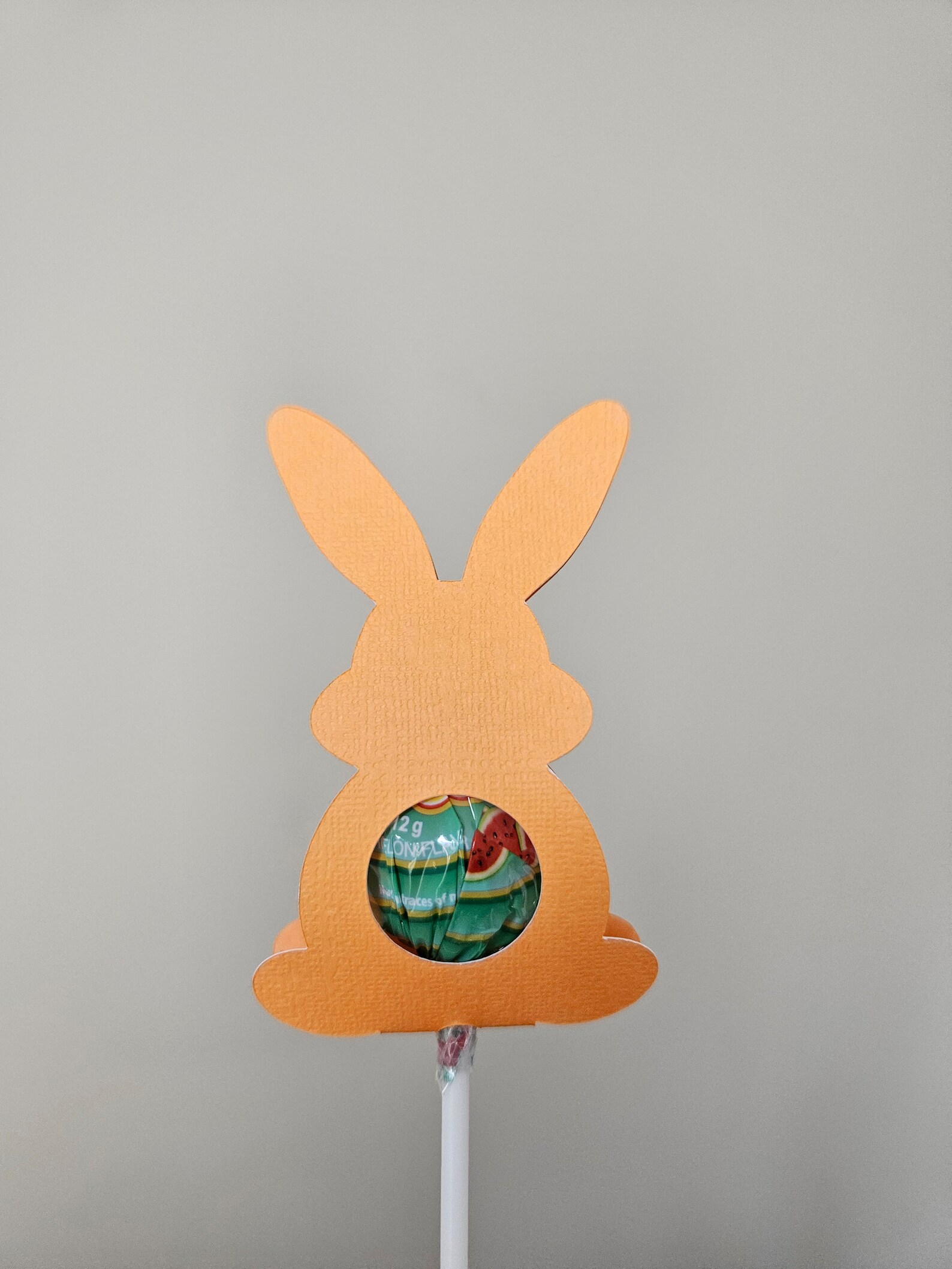 Easter Bunny Lollipop Holder Gift Favour - Etsy