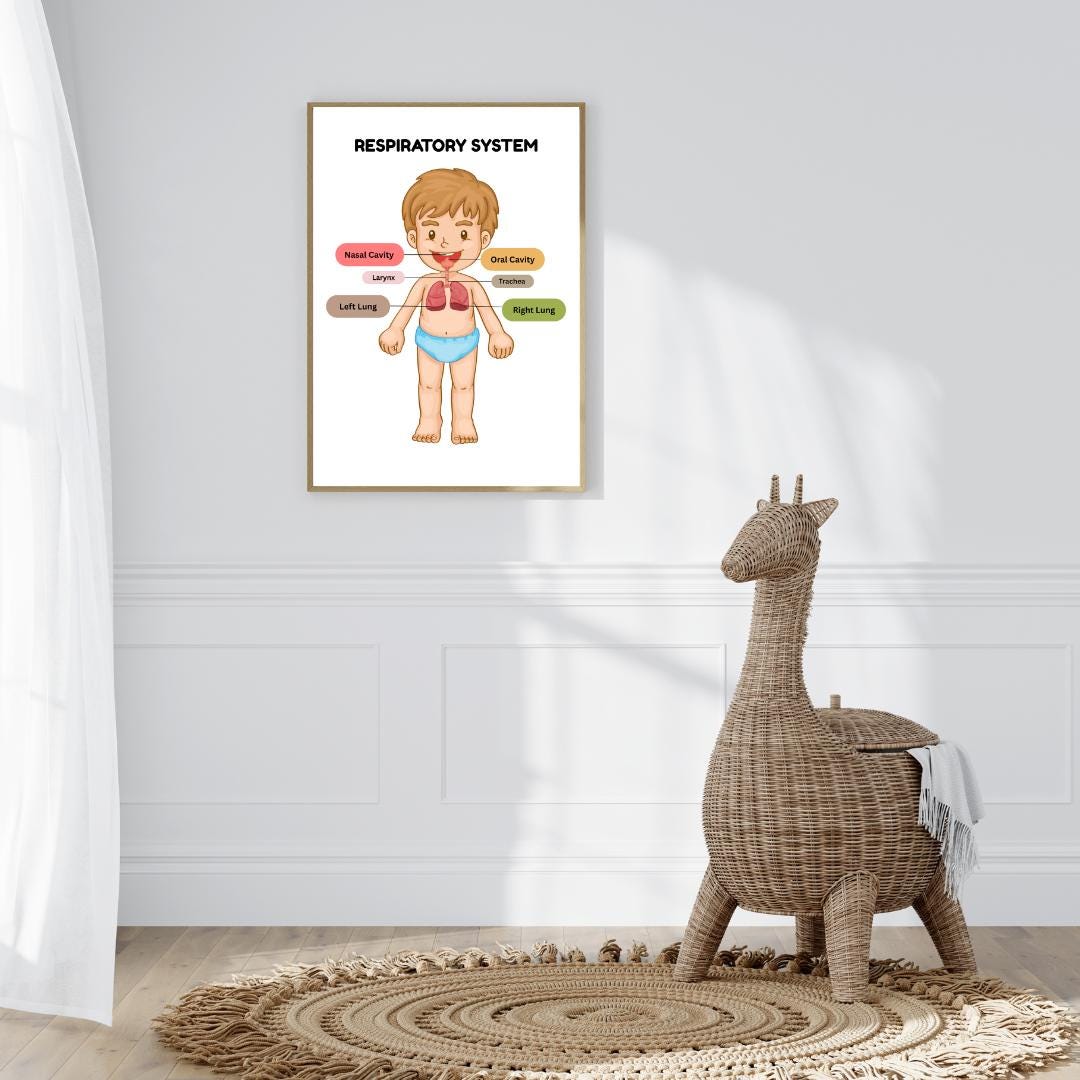Kids Respiratory System Poster – Labeled Lungs Airway Diagram – Science ...
