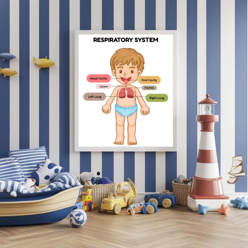 Kids Respiratory System Poster – Labeled Lungs Airway Diagram – Science ...