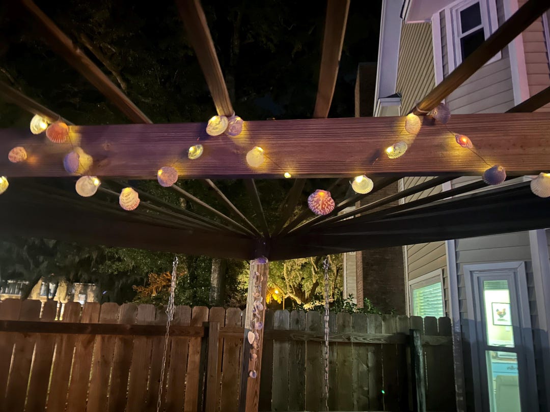 Shell Fairy Lights - Etsy