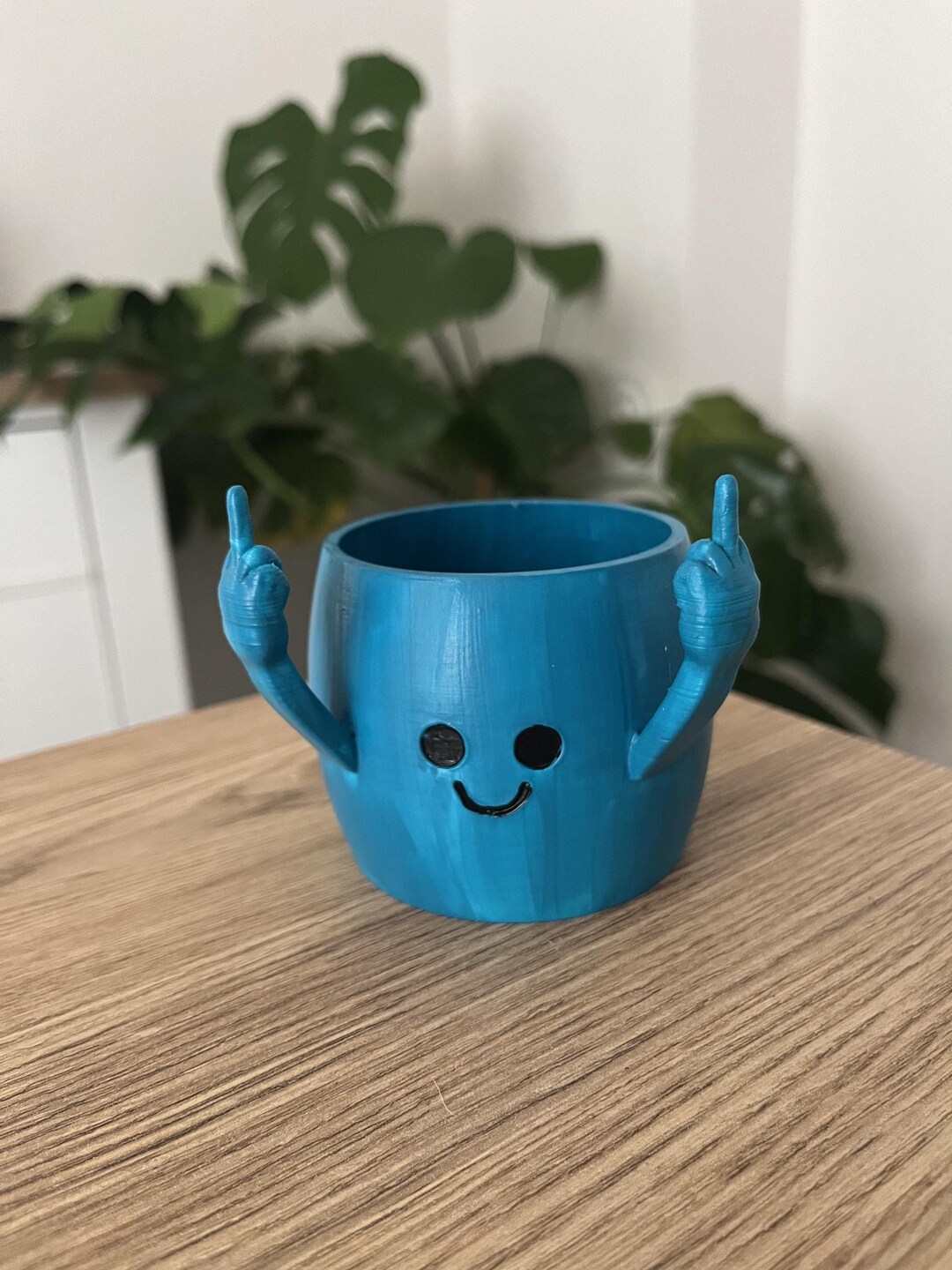 Funny Mini Planter – Middle Finger Gesture Succulent Pot - Etsy
