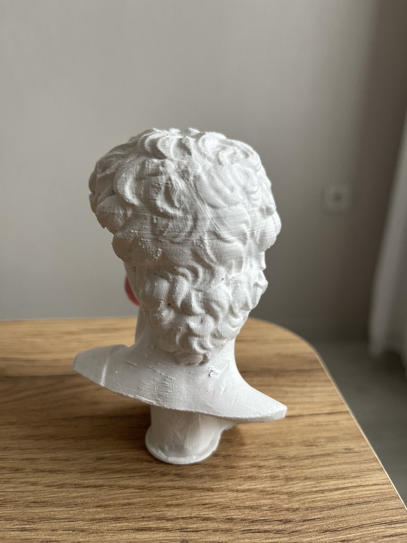 Michelangelo's Bubblegum David Statue Unique 3D Printed Art Sculpture ...