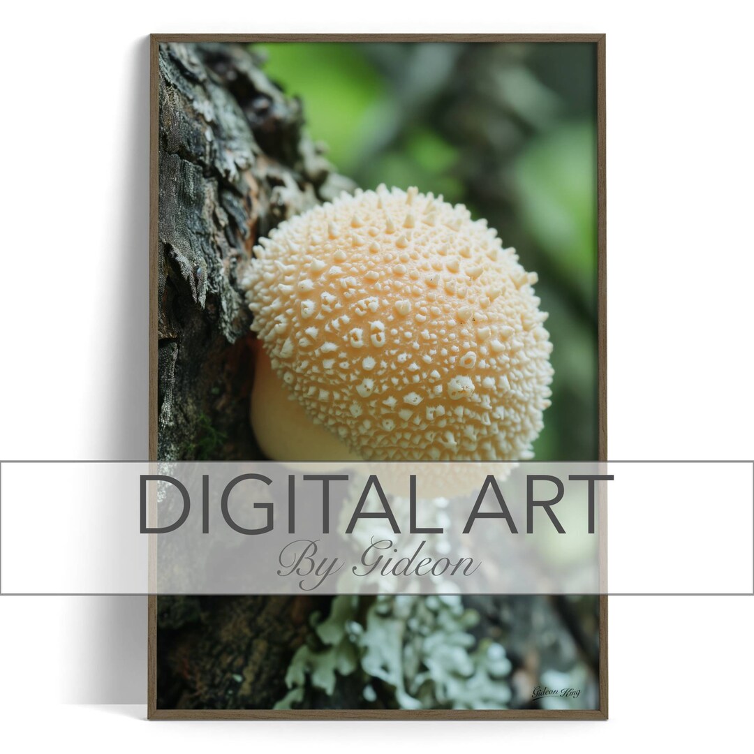 Common Puffball Fungus Macro Photo. Brighten up Your Bedroom, Dining or ...
