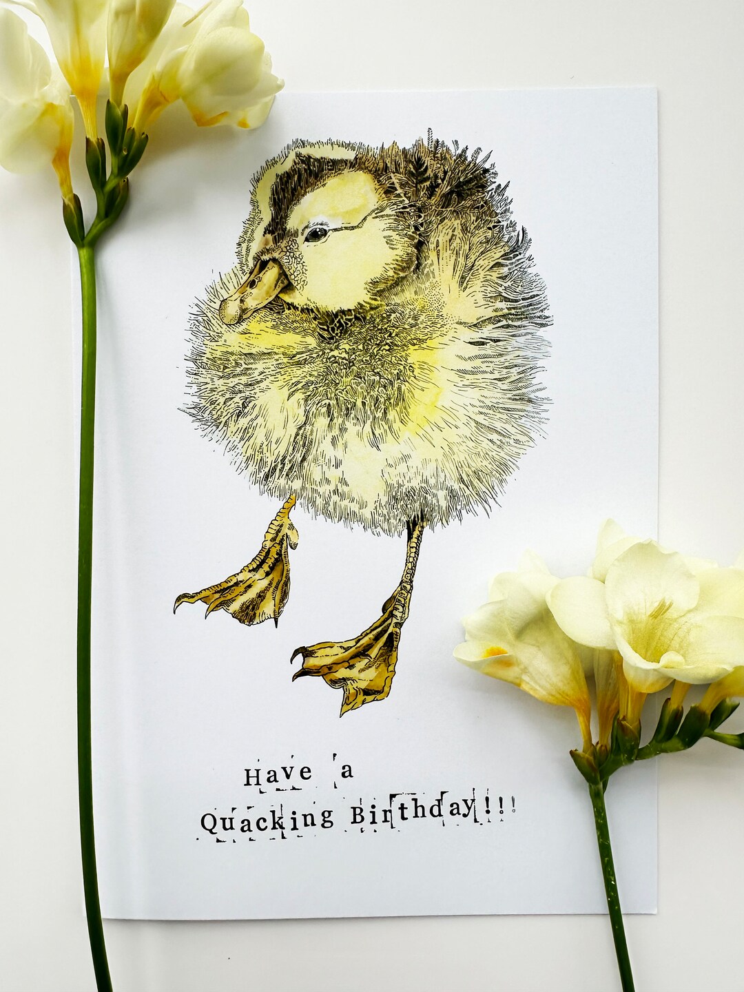 Duckling Birthday Card, Funny Birthday Card, Joke Birthday Card, Pun ...