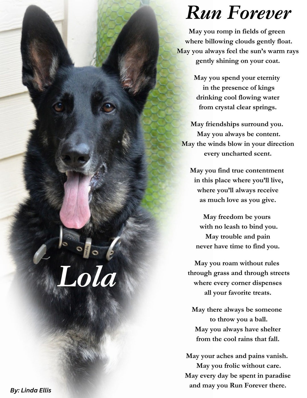 Run Forever Poem Personalized With YOUR Dog's Photo and Name - Etsy