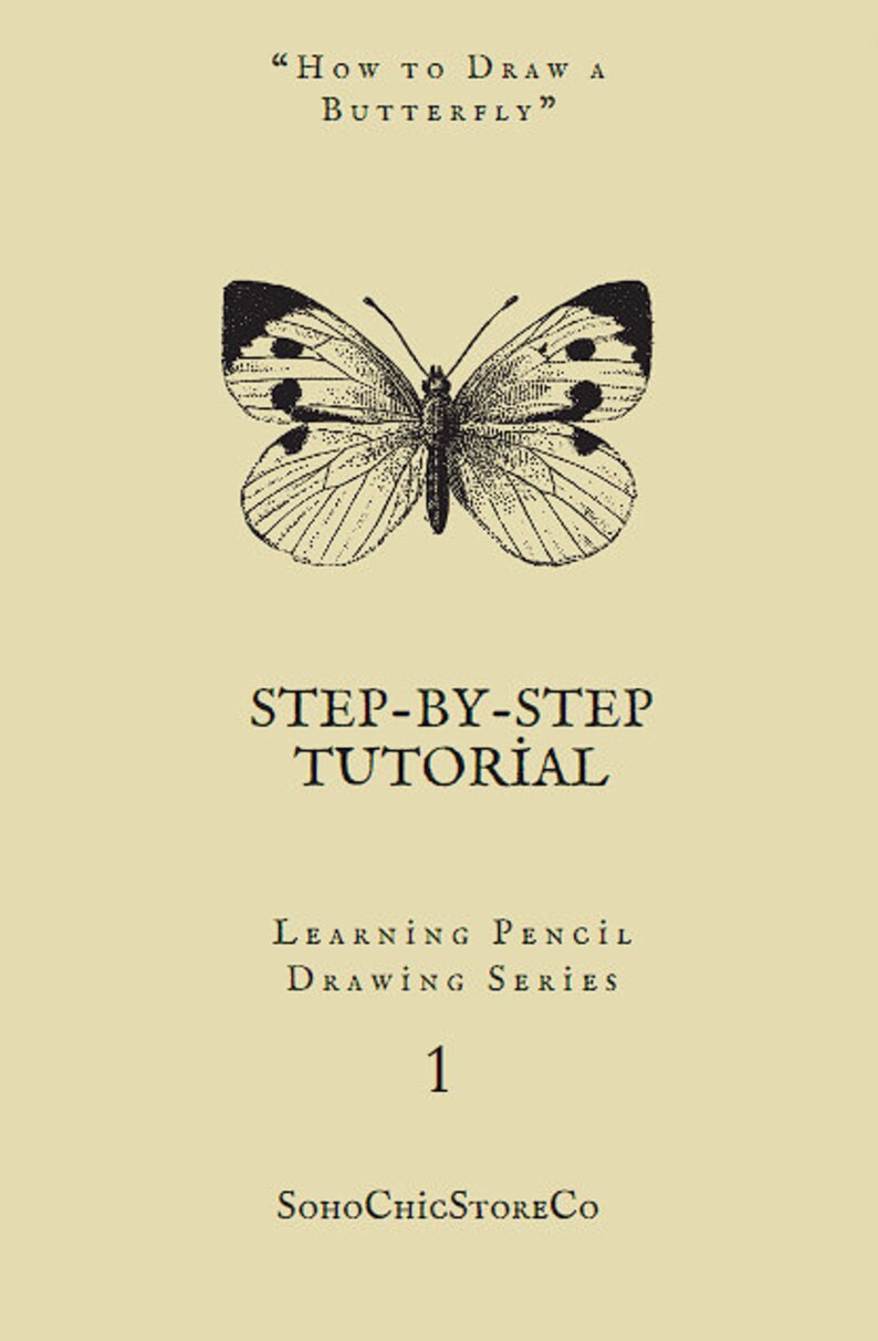 Butterfly Drawing Guide Digital Art Tutorial Step-by-step Llustration ...