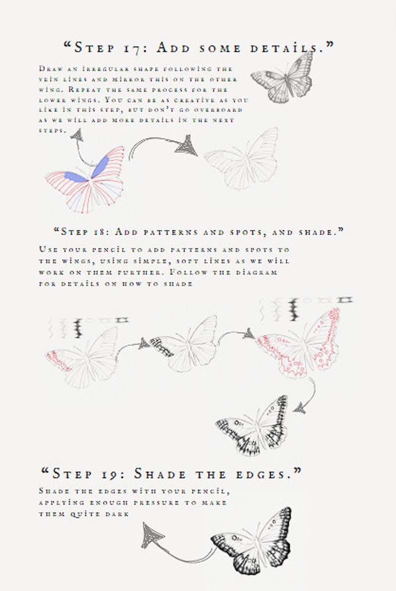 Butterfly Drawing Guide Digital Art Tutorial Step-by-step Llustration ...