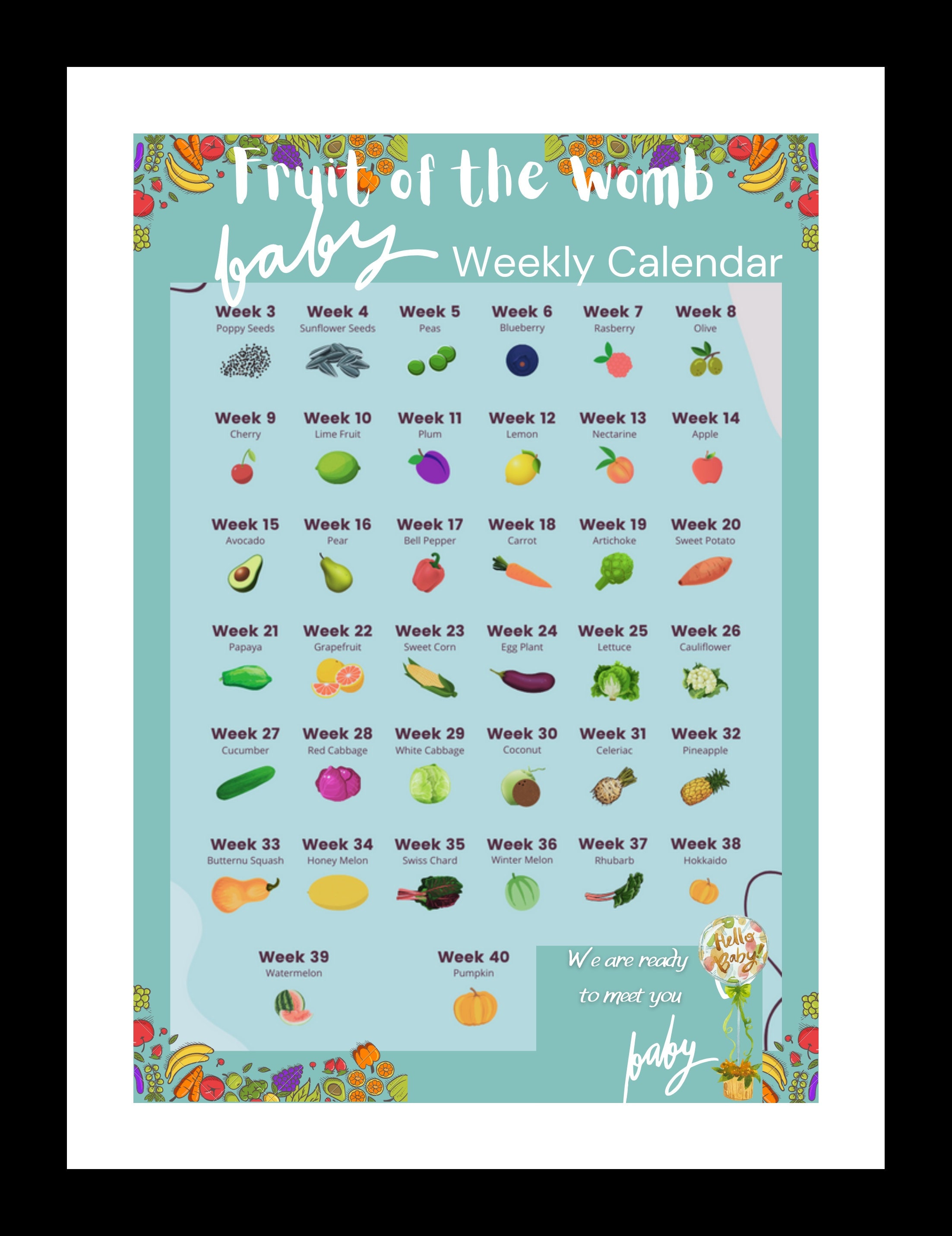 Fruit of the Womb Baby Comparison A4 Glossy Chart - Etsy