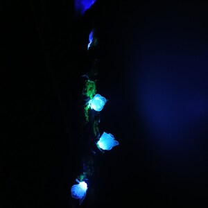 Ethereal Staff of Growth - Etsy