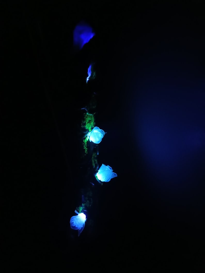 Ethereal Staff of Growth - Etsy