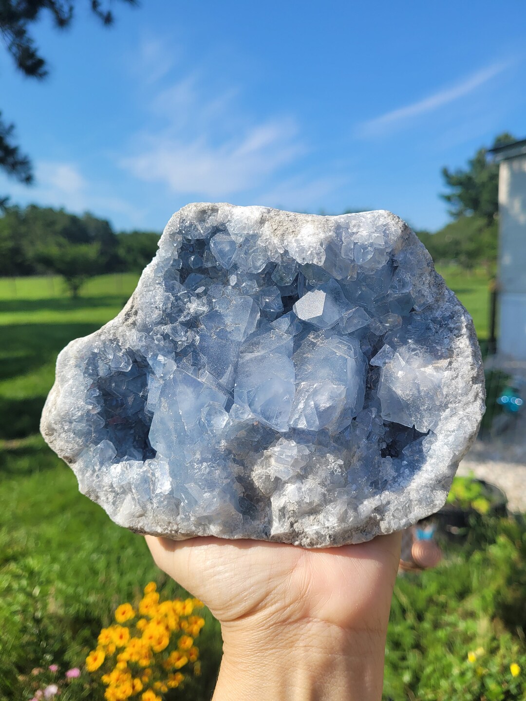 5lb Gemmy Blue Celestite Geode - Etsy