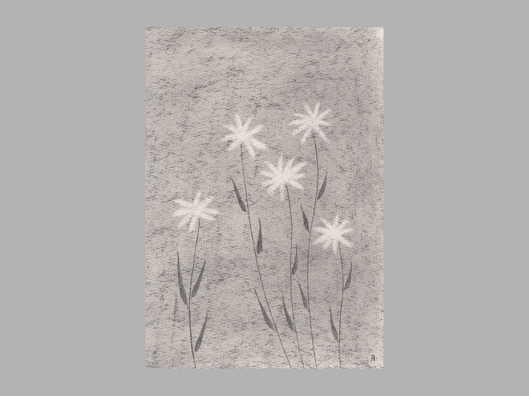 Gray Flowers Original Art Drawing Artwork Pencil Graphite Floral Hand ...
