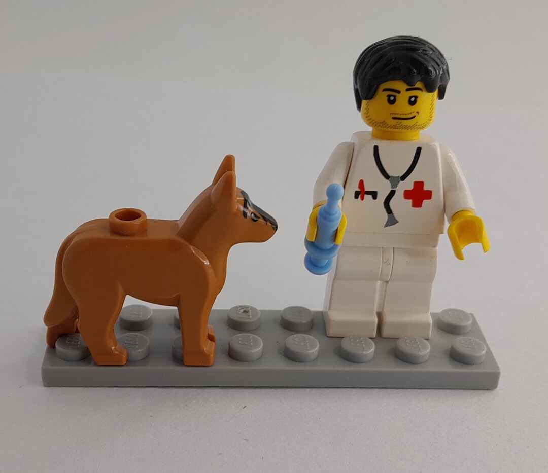 Vet With Dog Figures Custom Made From Genuine Lego - Etsy