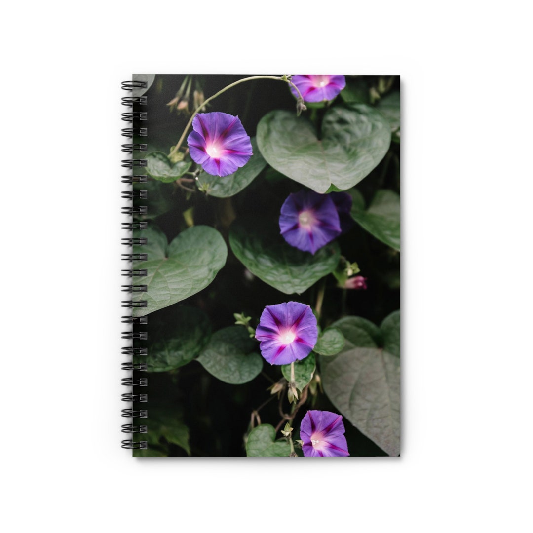 Coquette Notebook Poetry Journal Therapy Notes Devotional Journal Grief ...