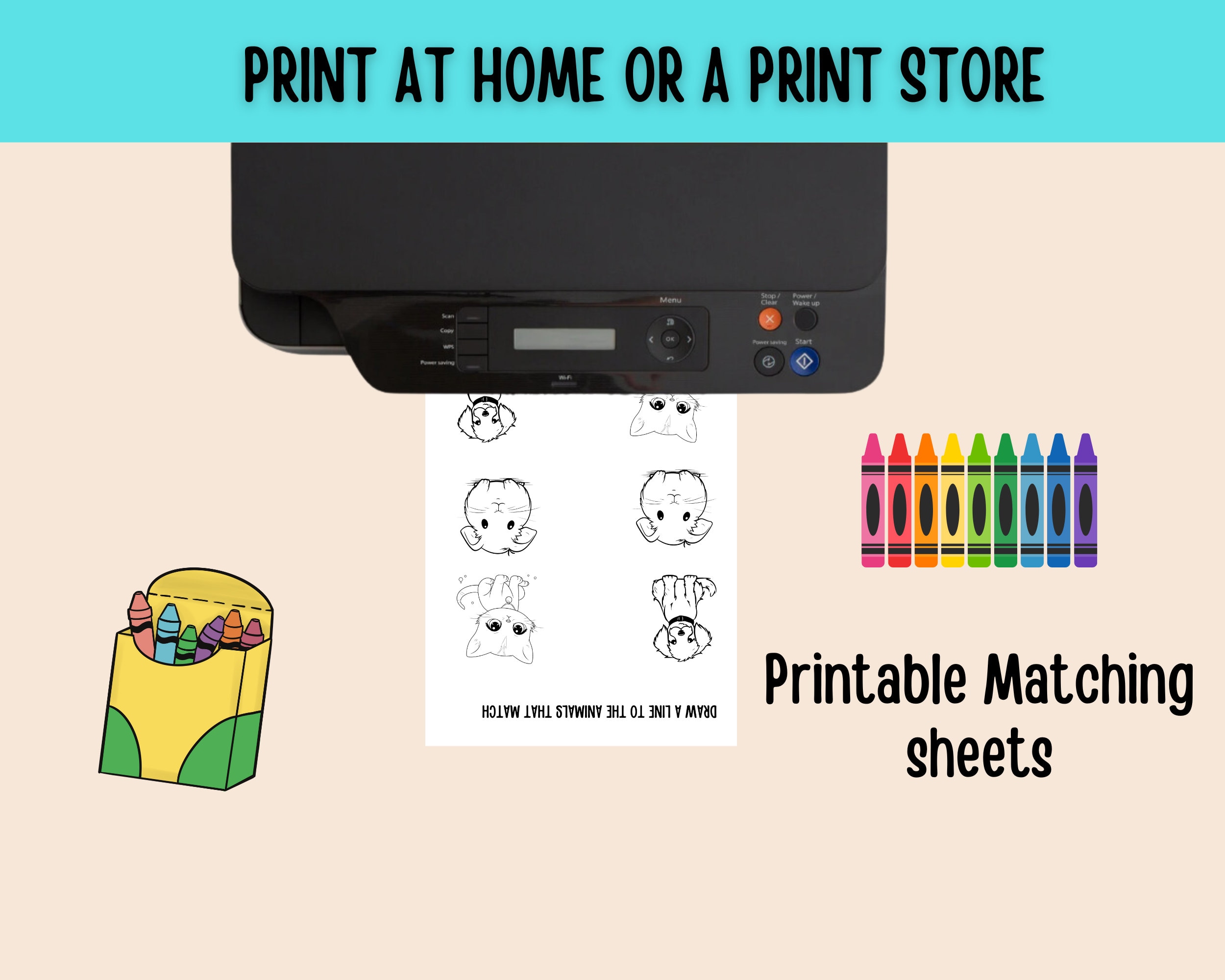 Matching Game Preschool Activities Homeschool Activities - Etsy