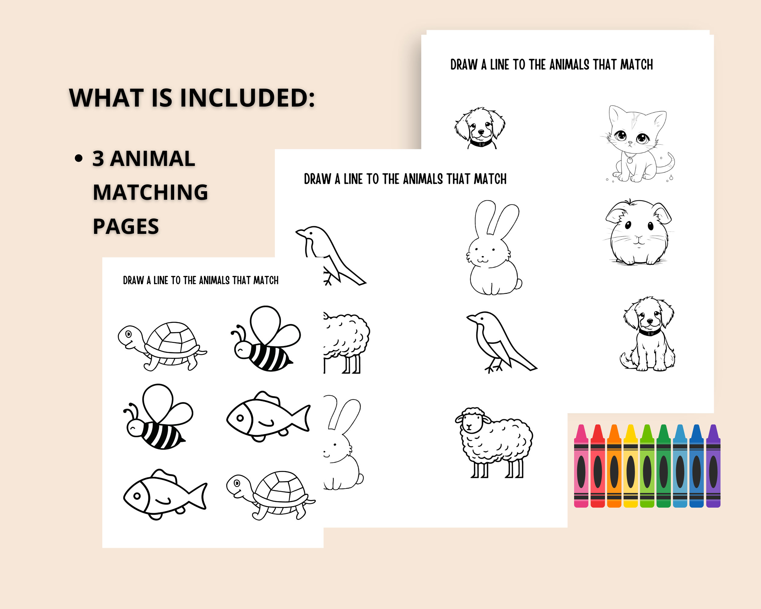 Matching Game Preschool Activities Homeschool Activities - Etsy