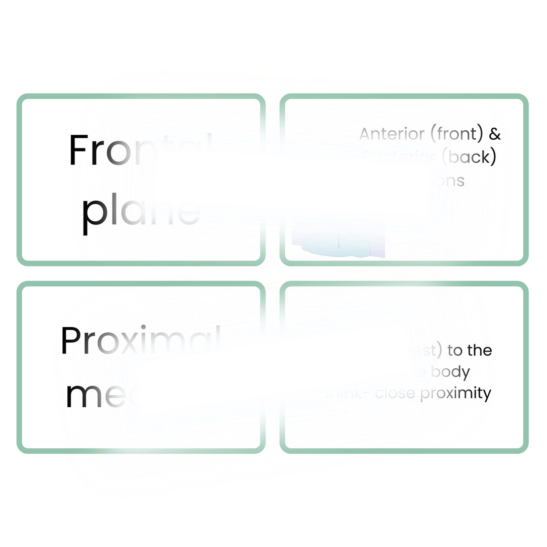 Body Plane Flashcards CCMA - Etsy