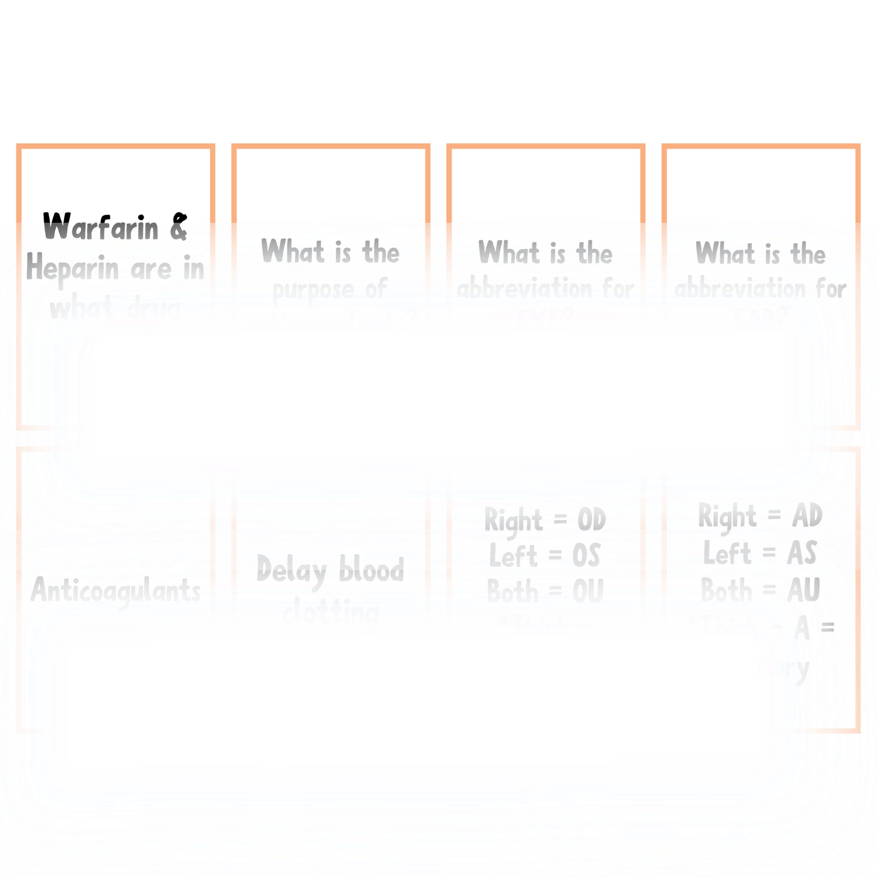 CCMA Medication Anatomy and Physiology Flashcards - Etsy