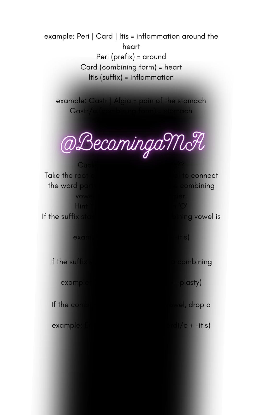 Introduction to Medical Terminology | Medical Assistant Study Guide ...