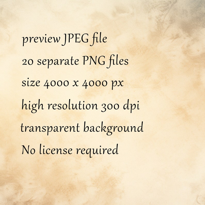 Hedgehog Clipart, Cute Hedgehog Clipart, 20 PNG Files, Transparent ...