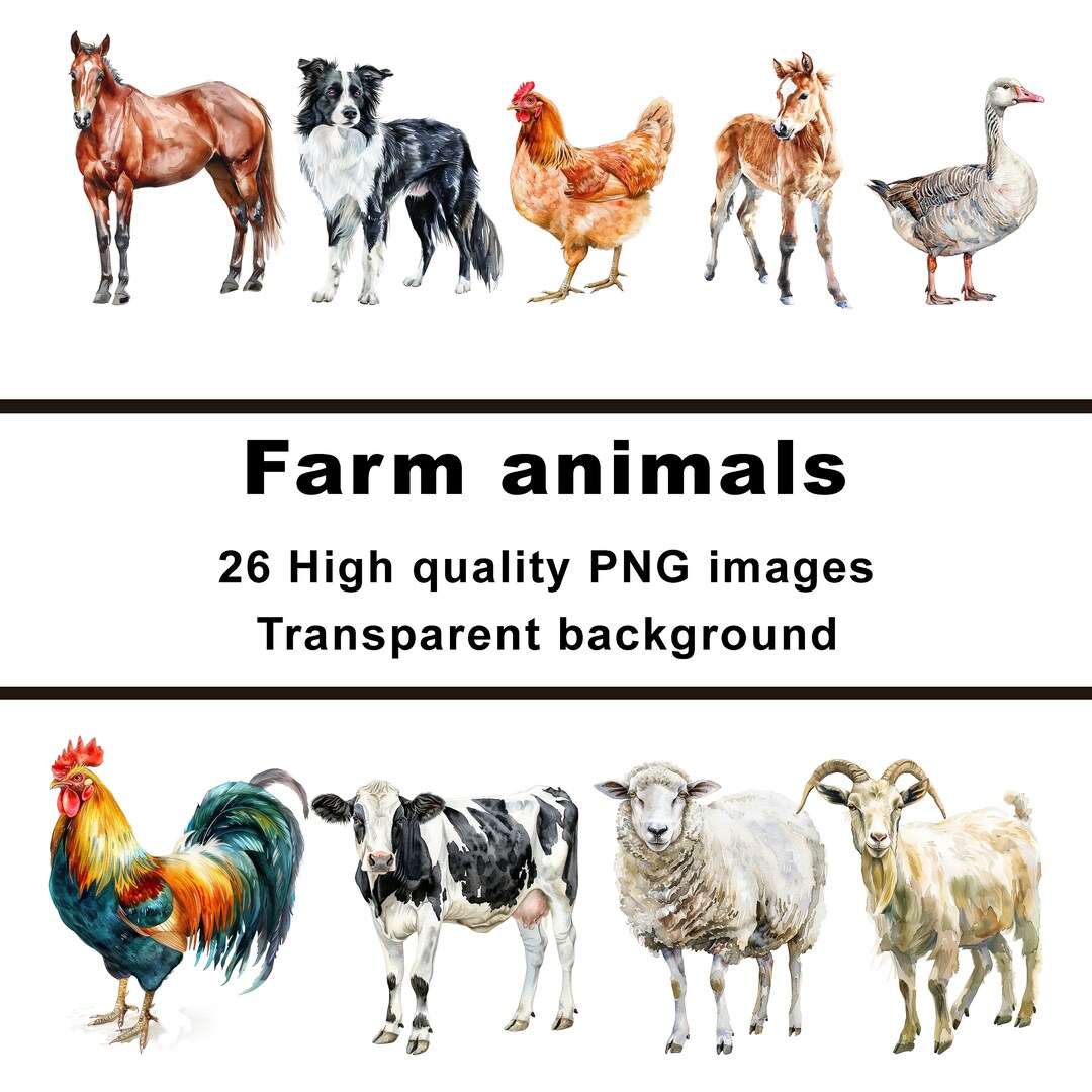 Farm Animals, 26 Digital Cliparts, Cow, Horse, Sheep, Pig, Rooster and ...