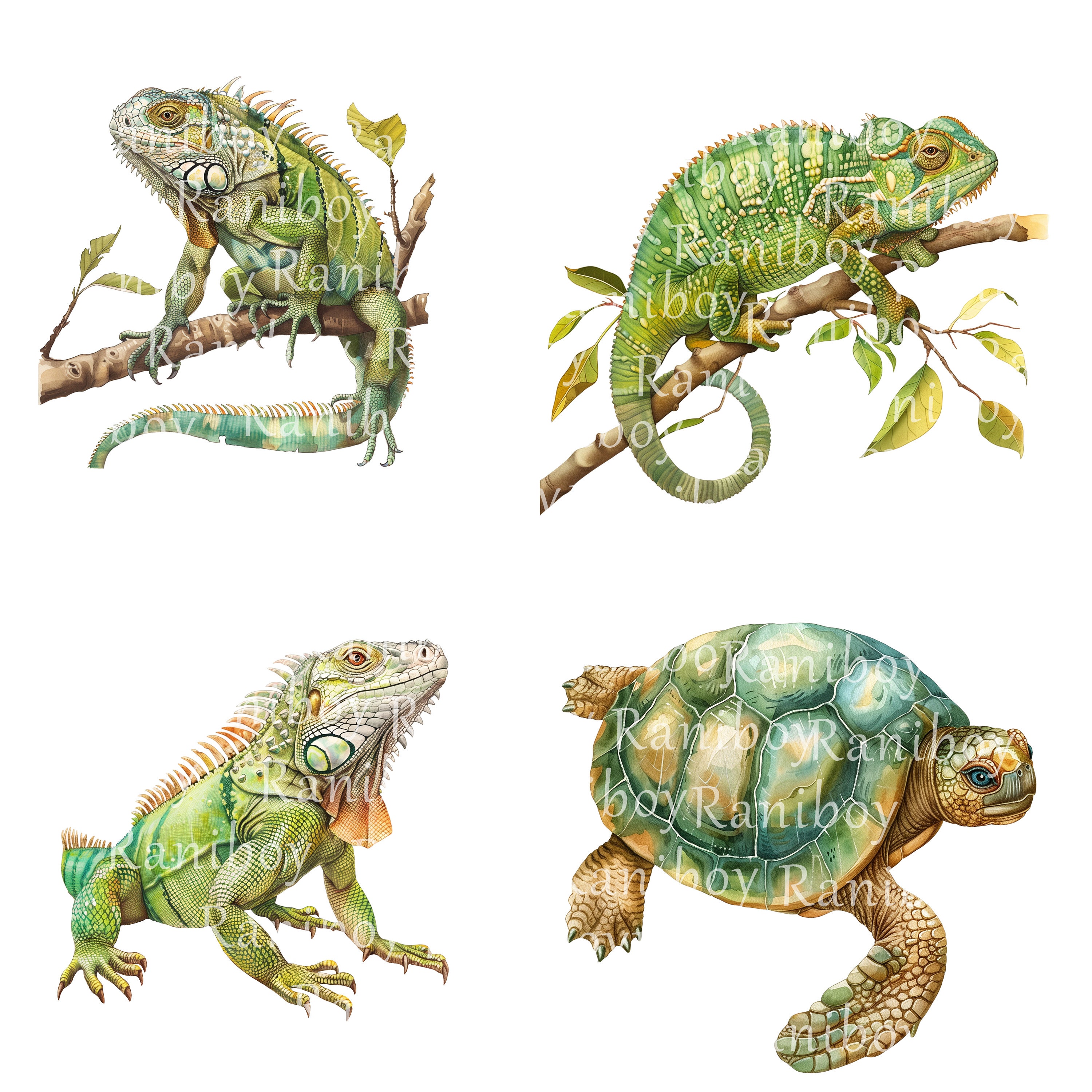 Reptiles Clipart, Reptiles Png, 16 PNG Files, Transparent Background ...