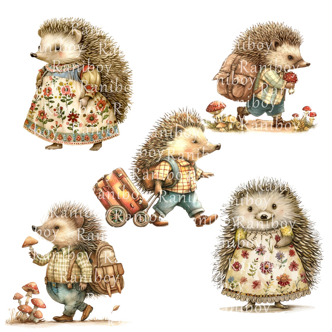 Hedgehog Clipart, Cute Hedgehog Clipart, 20 PNG Files, Transparent ...
