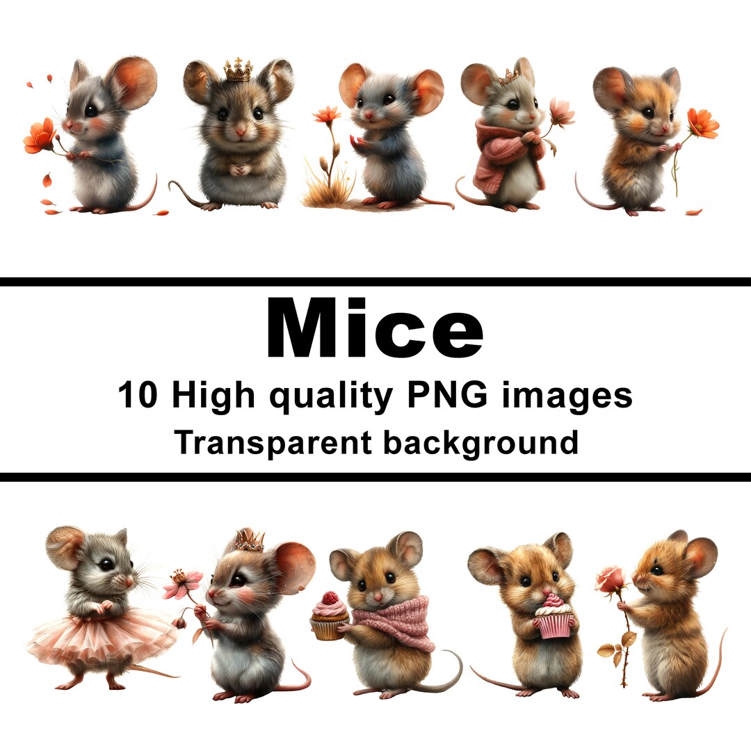 Mouse Clip Art, 10 Mice Digital Downloads, PNG Transparent Background ...